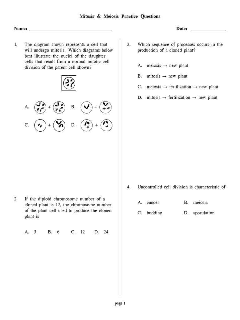 Mitosis Meiosis Practice Test3 | PDF | Meiosis | Mitosis
