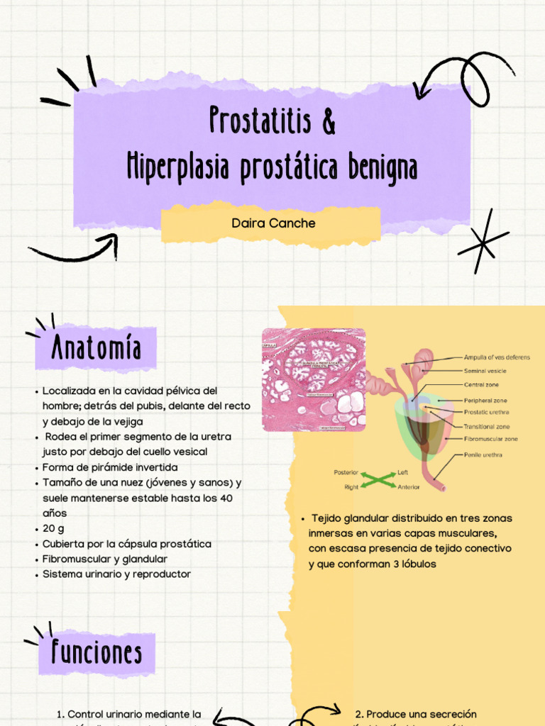 Prostatitis y HPB | PDF | Próstata | Antígeno específico de la próstata