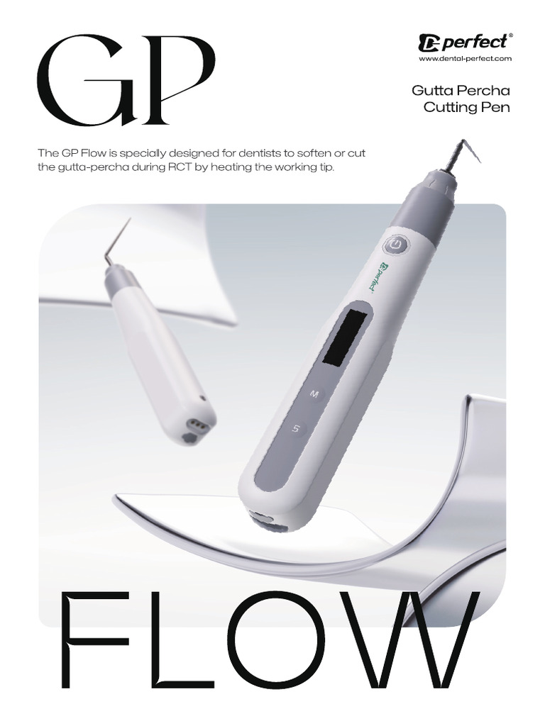 GP Flow | PDF