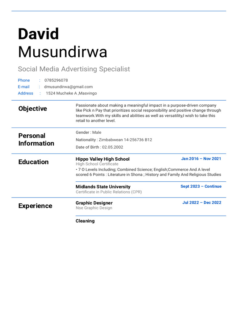 David - Resume - 61 | PDF