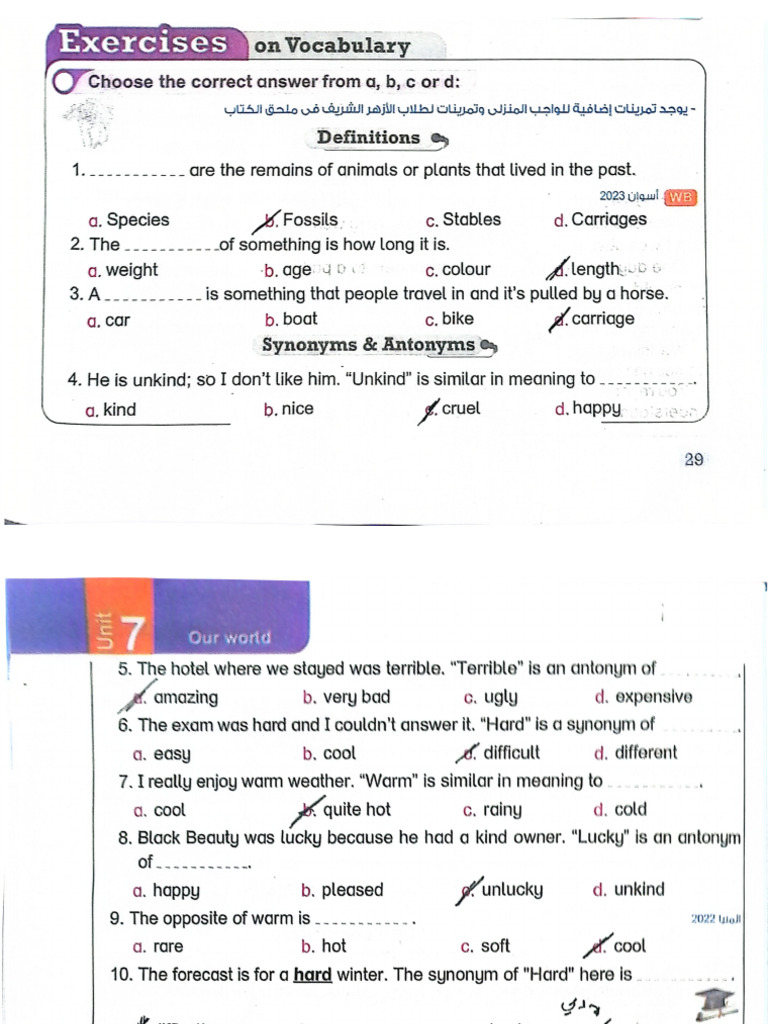 English Homework | PDF