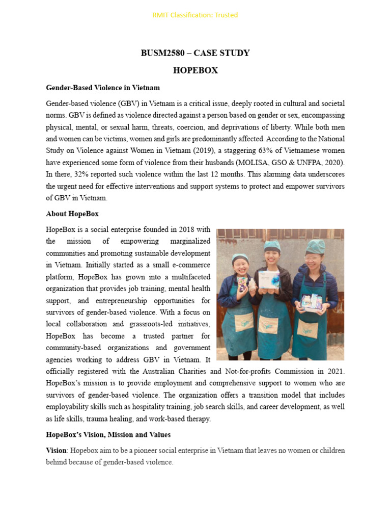 Empowering GBV Survivors in Vietnam | PDF | Domestic Violence | Violence