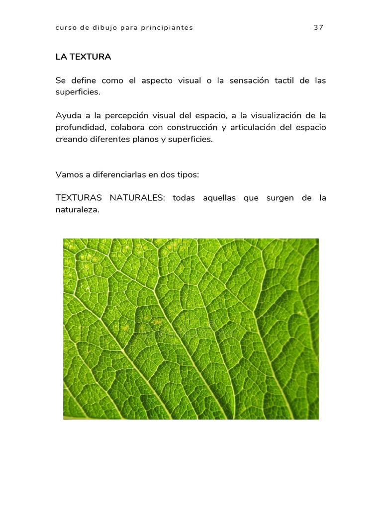 Tipos de Texturas: Natural y Artificial | PDF
