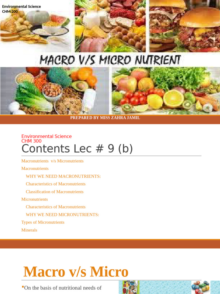 Macronutrients vs Micronutrients Explained | PDF | Nutrients | Nutrition