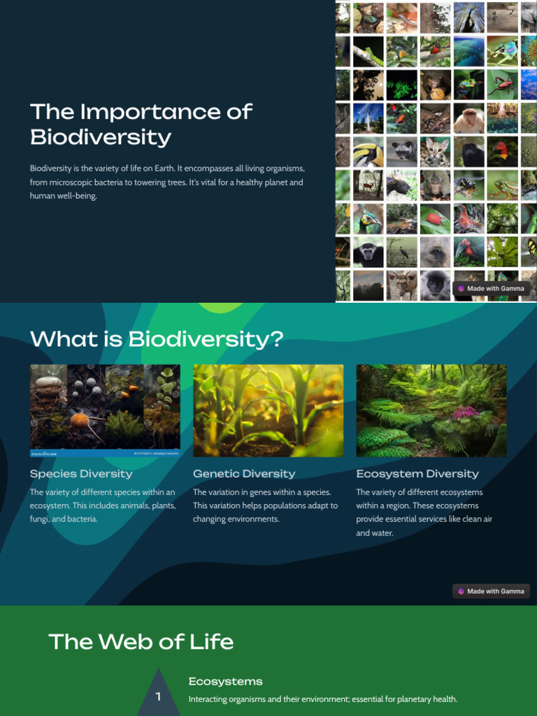 The Importance of Biodiversity | PDF | Biodiversity | Habitat Destruction
