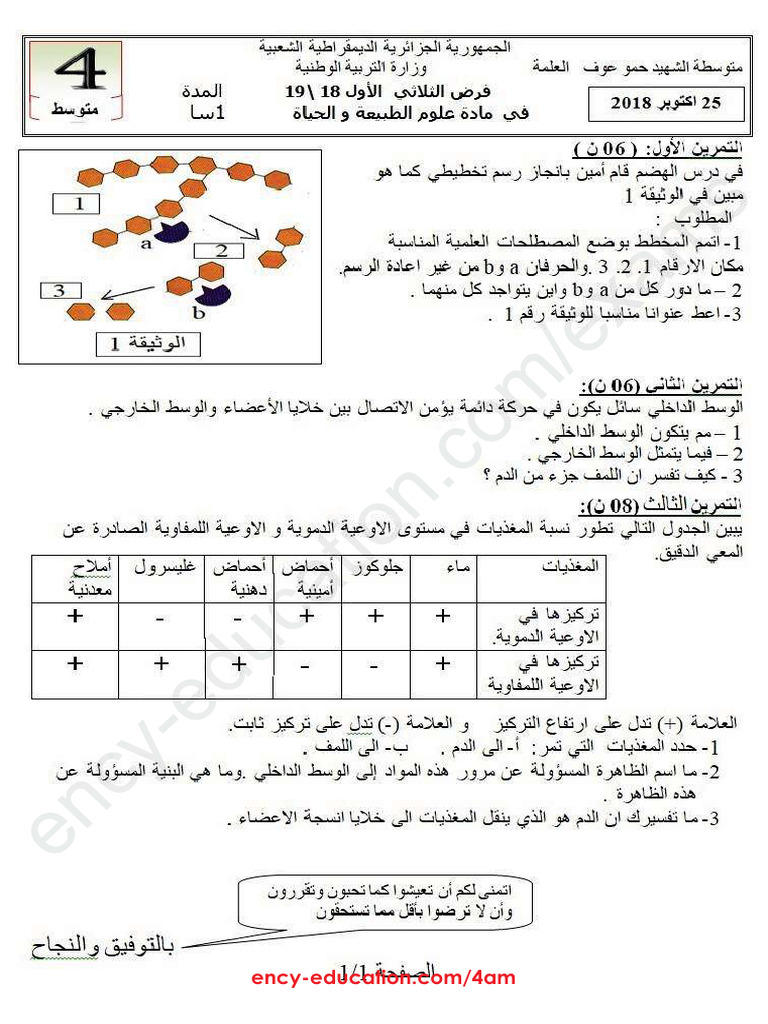 Dzexams 4am Sciences 873845 | PDF