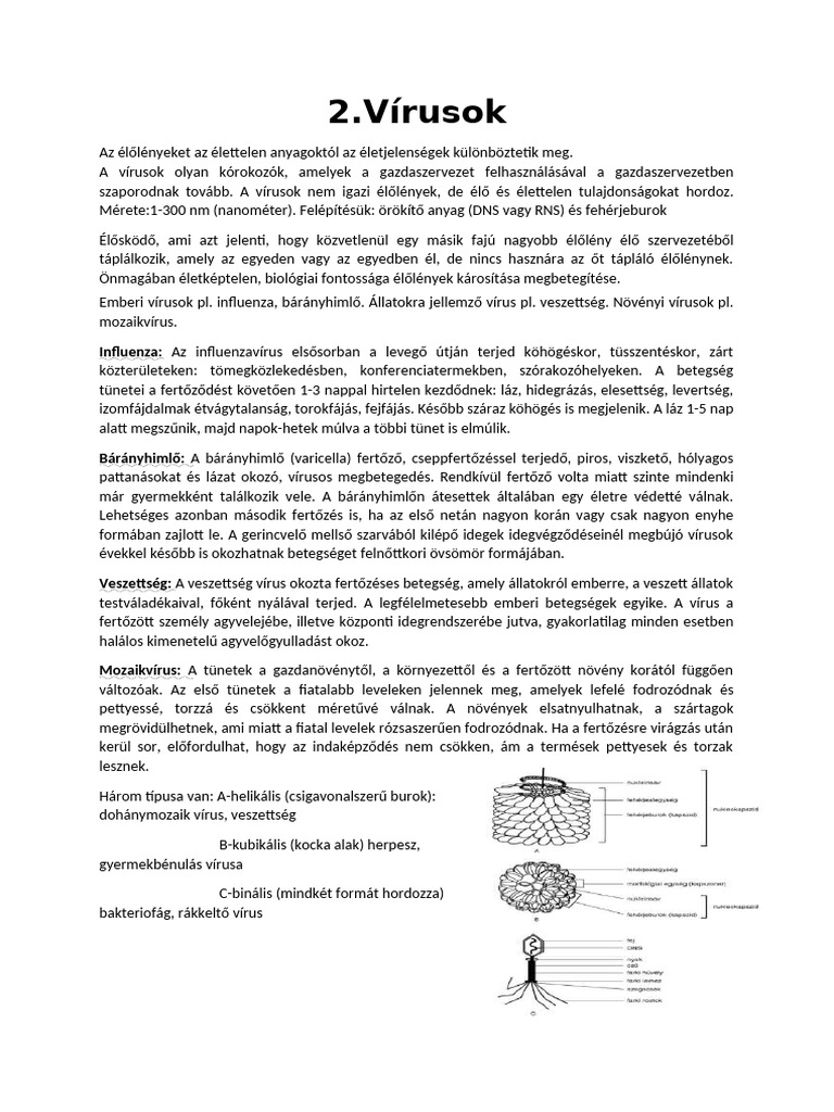 Vírusok | PDF