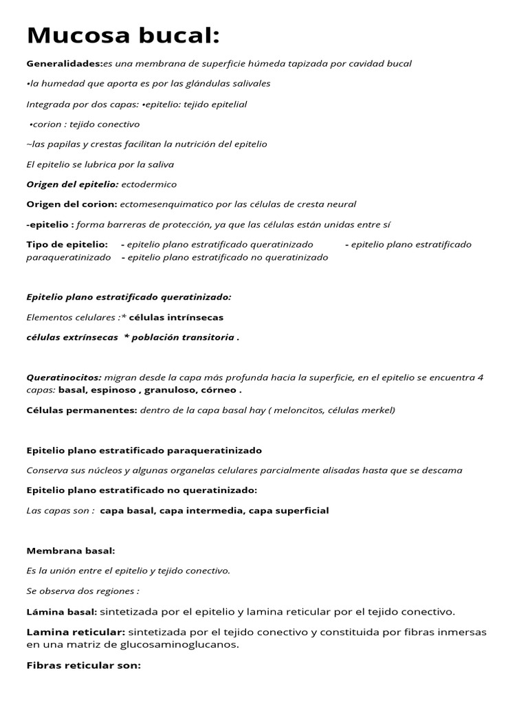 Mucosa Bucal | PDF | Epitelio | Tejido conectivo