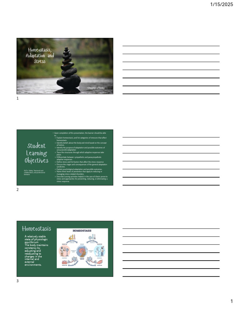 Nursing Fundamentals CH 5 Homeostasis Adaption and Stress | PDF ...