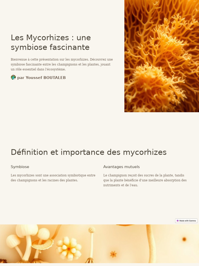 Les Mycorhizes Une Symbiose Fascinante | PDF | Environnement naturel | Science du sol