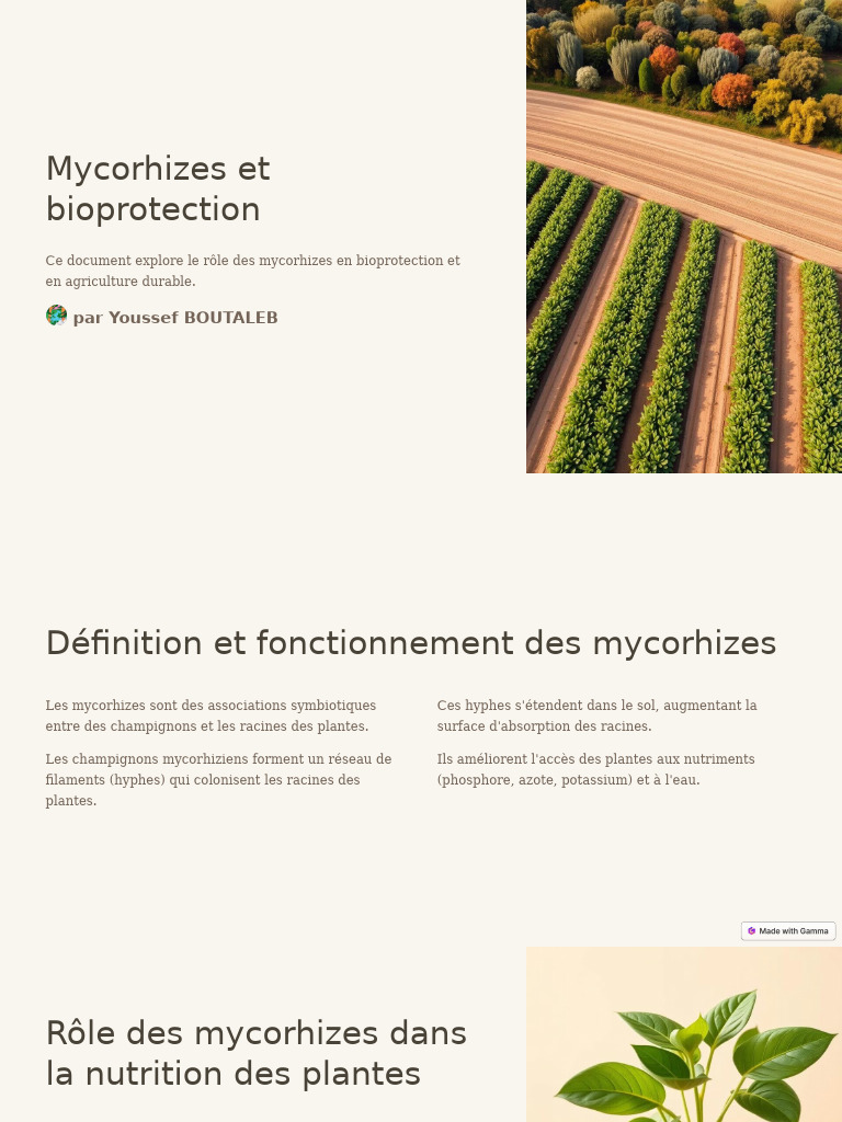 Mycorhizes et bioprotection des plantes | PDF | Environnement naturel ...