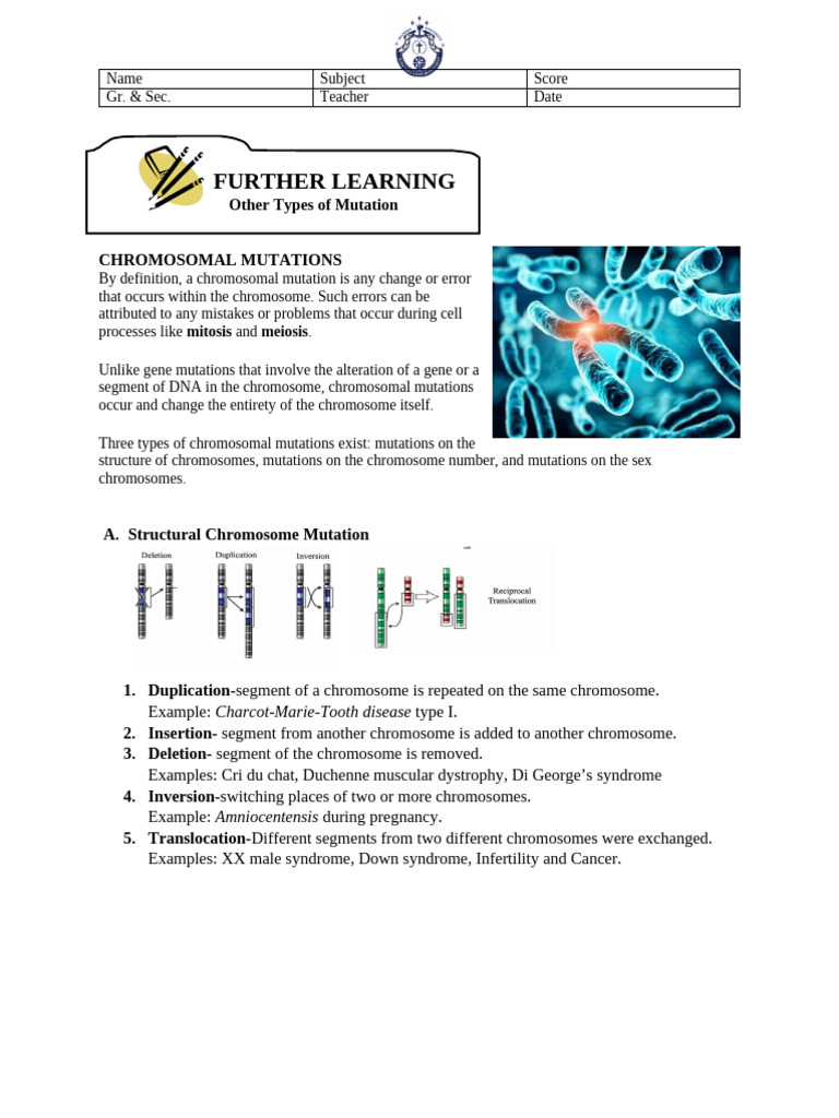 Understanding Chromosomal Mutations | PDF | Ploidy | Chromosome