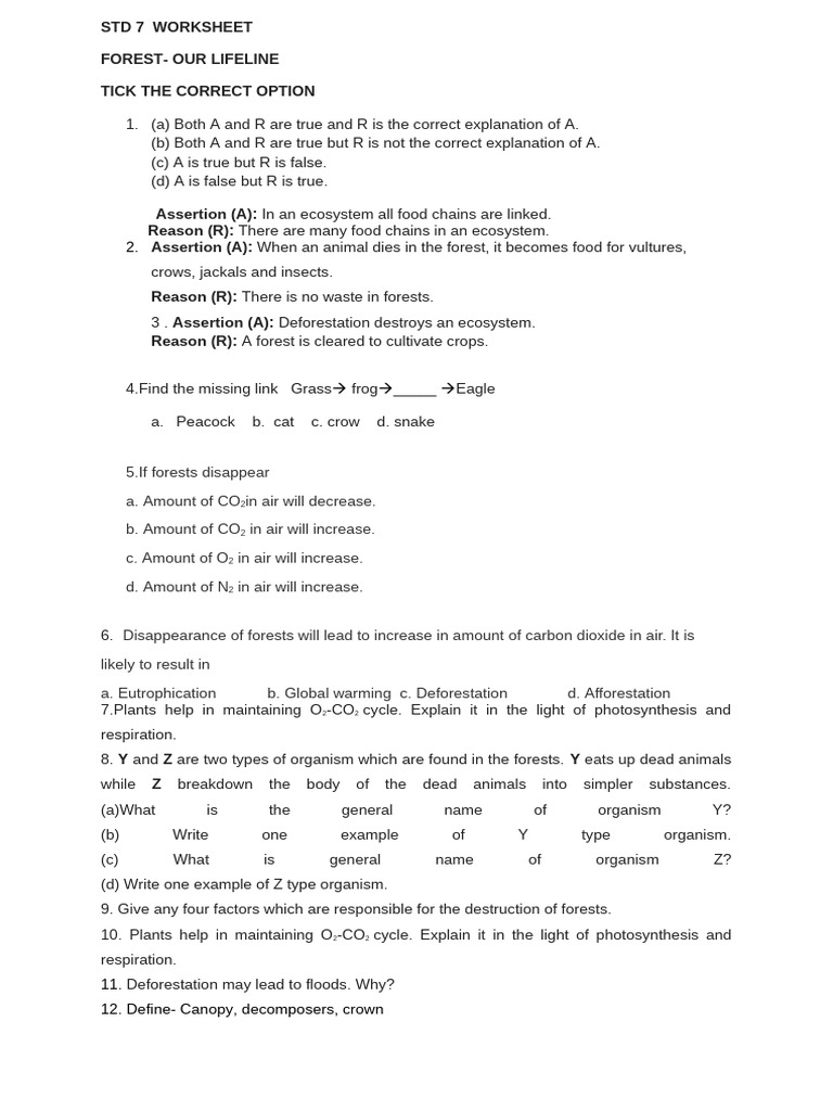 Forest - Worksheet | PDF