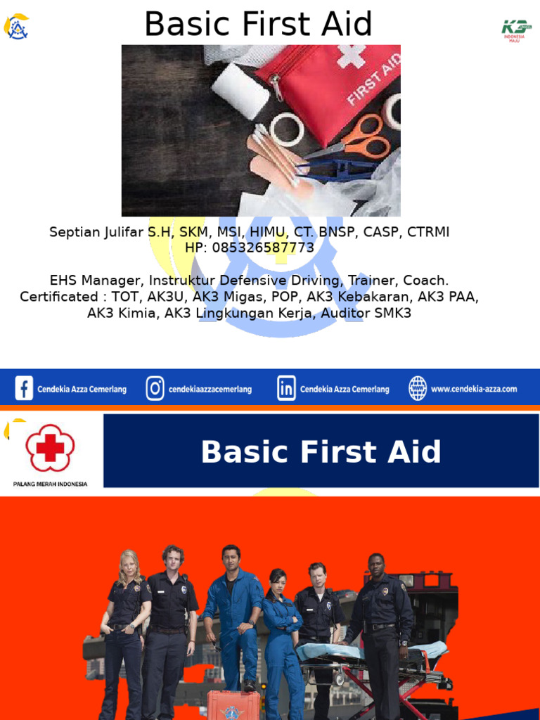 Basic First Aid | PDF