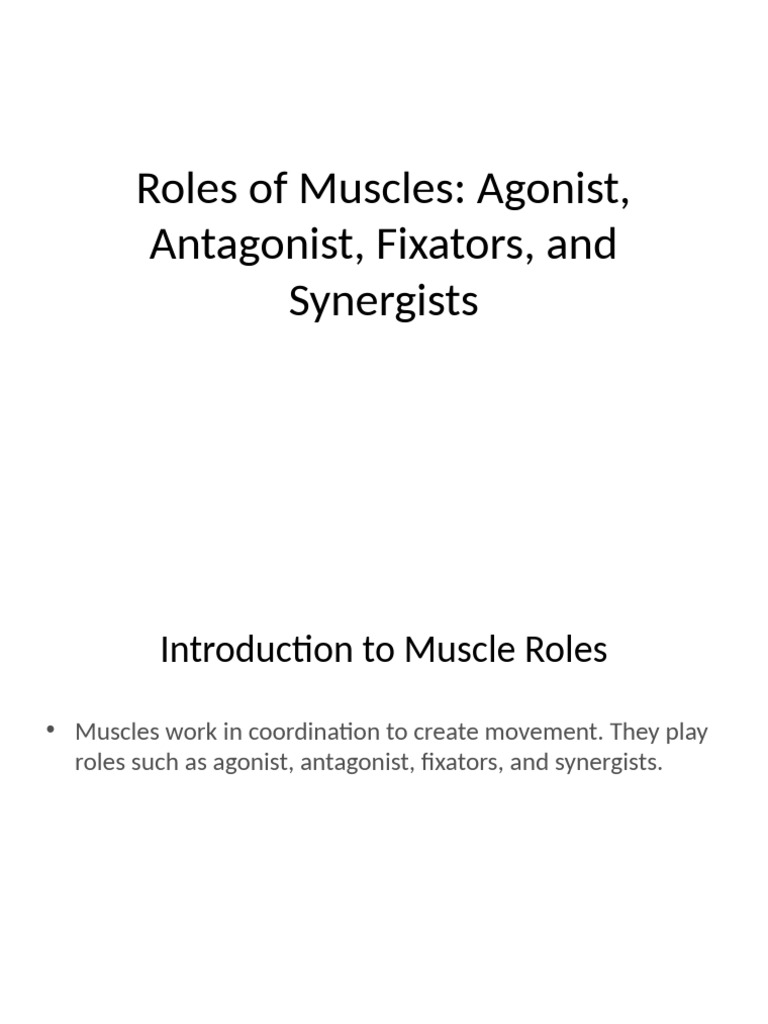 Muscle Roles Presentation | PDF