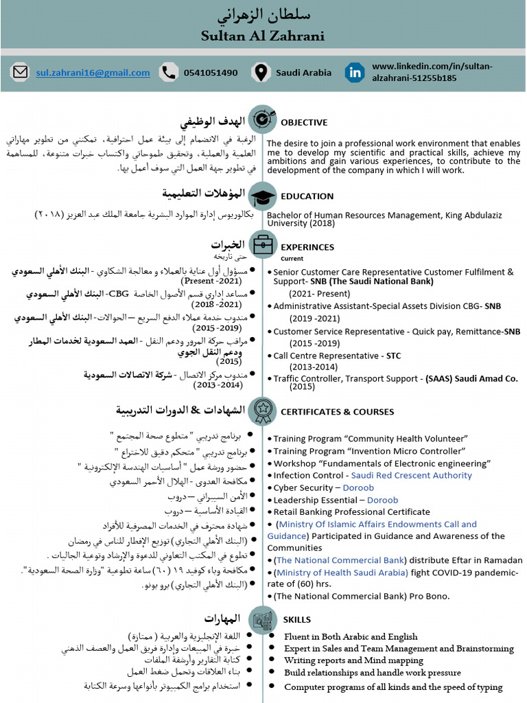 CV Sultan 2023 | PDF