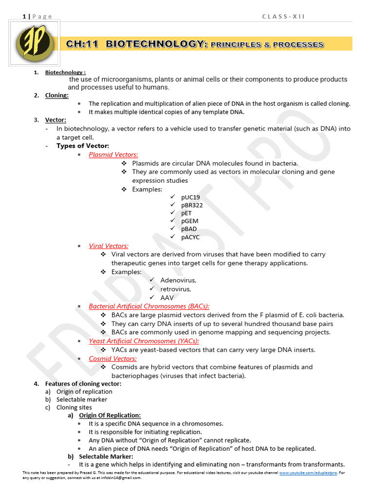 Chapter 11 - Biotechnology - Principles and Processes | PDF | Plasmid | Vector (Molecular Biology)