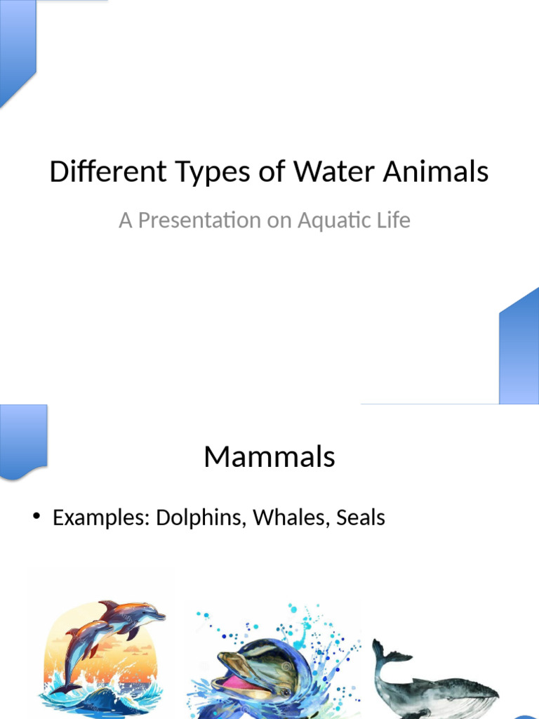 Types of Aquatic Animals Explained | PDF