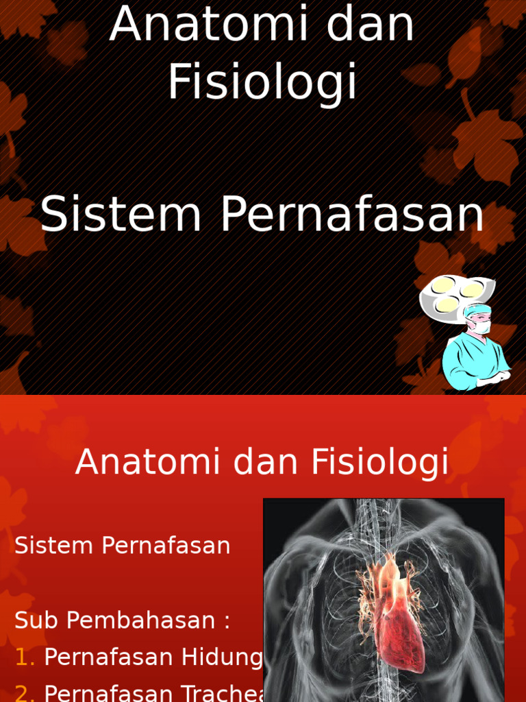 Anatomi Dan Fisiologi Pertemuan 11 | PDF