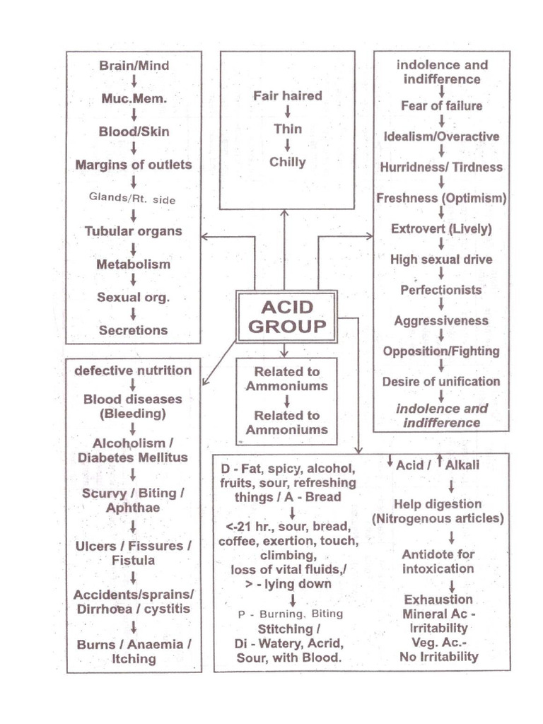 HMM Flow Chart Group Study | PDF