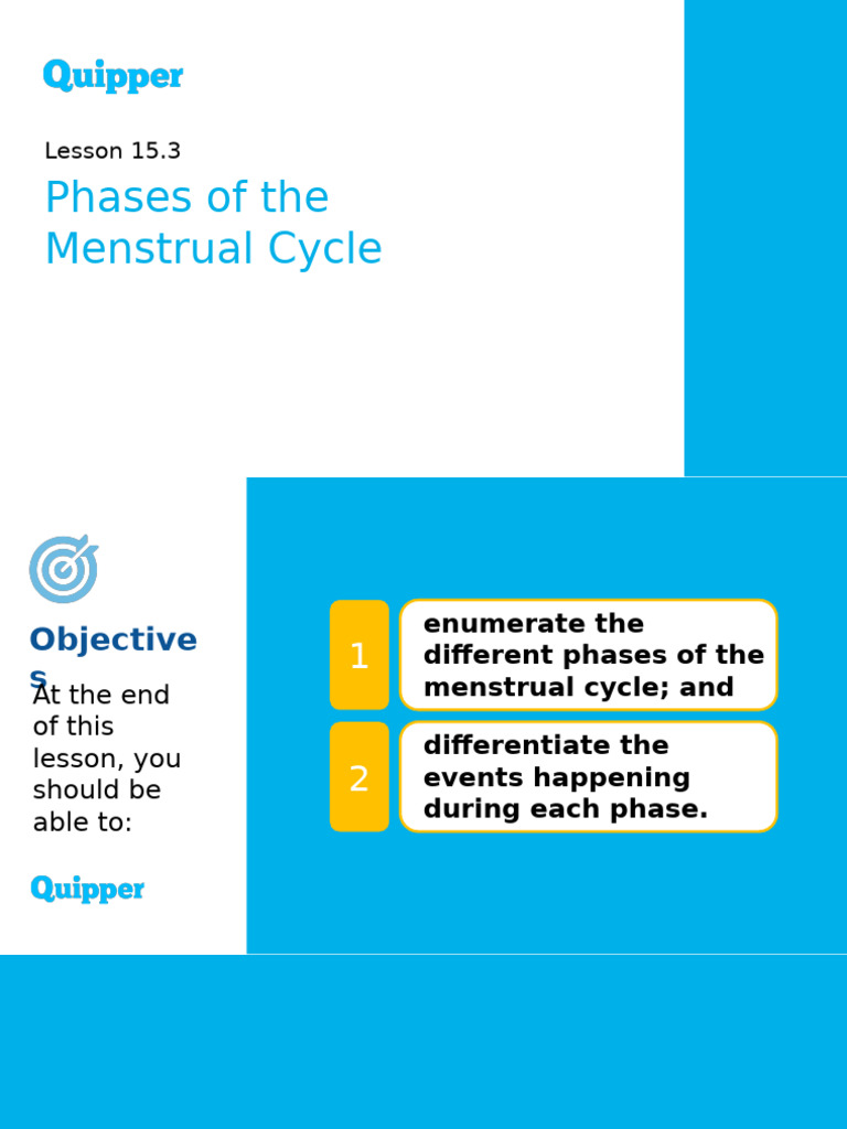 Menstrual Cycle Phases Explained | PDF | Menstrual Cycle | Ovary