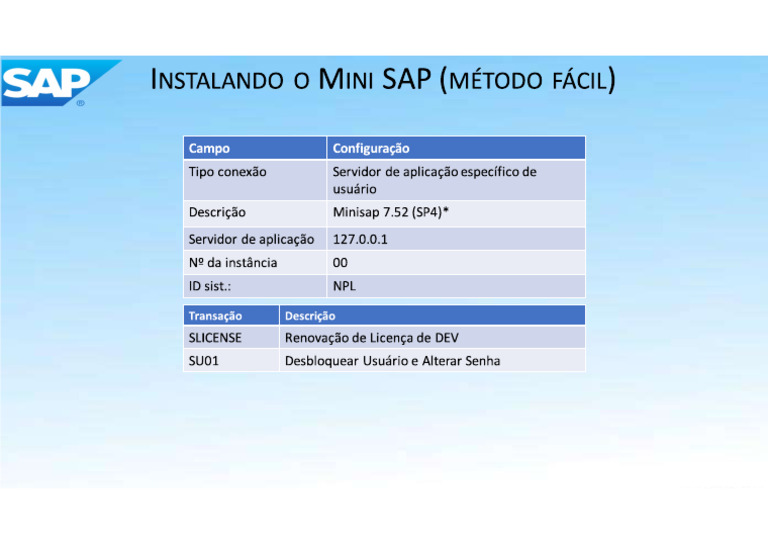 Mini_SAP | PDF