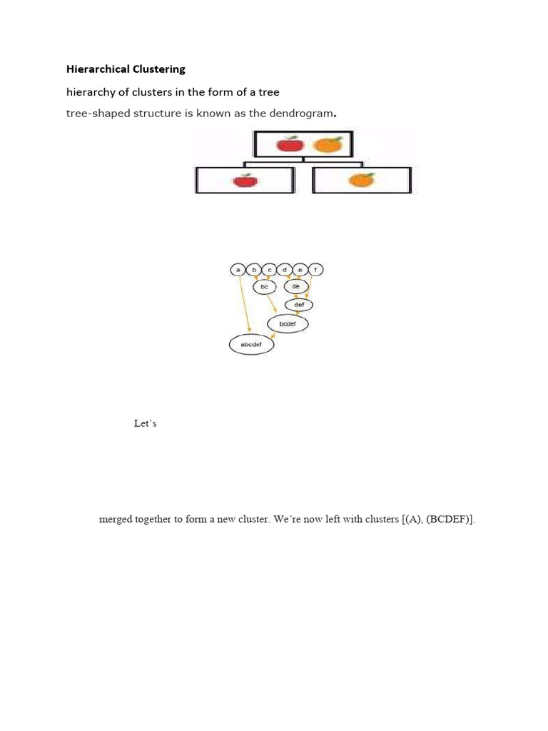 DW & DM Unit 4 Notes | PDF | Cluster Analysis | Outlier