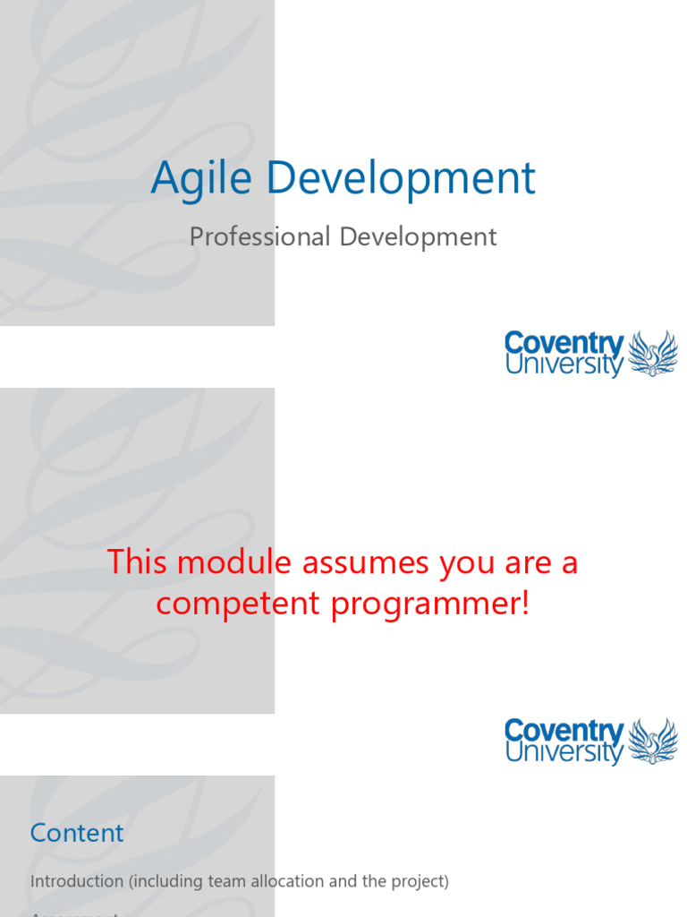 01 Professional Development | PDF | Cognition | Psychology