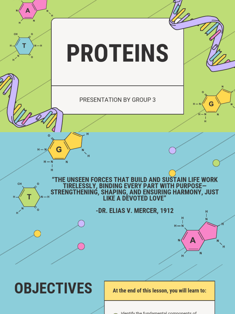 Identify the Fundamental Components of Proteins..PDF | PDF | Proteins ...