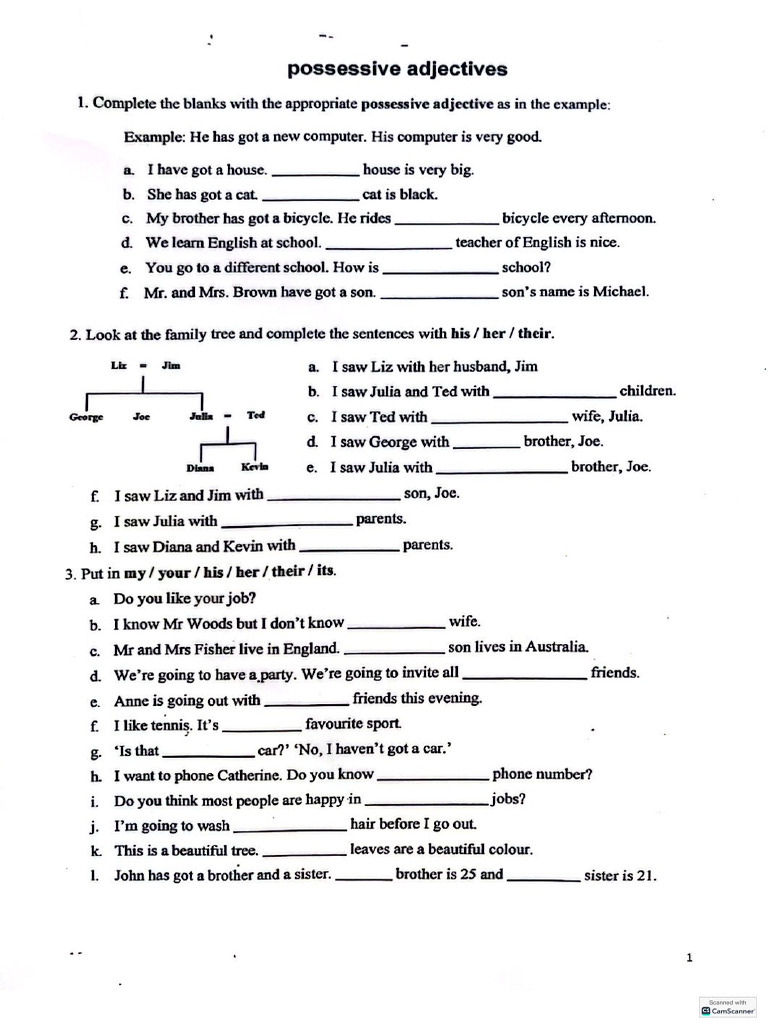 HW Exercise On Possessive Adjectives | PDF