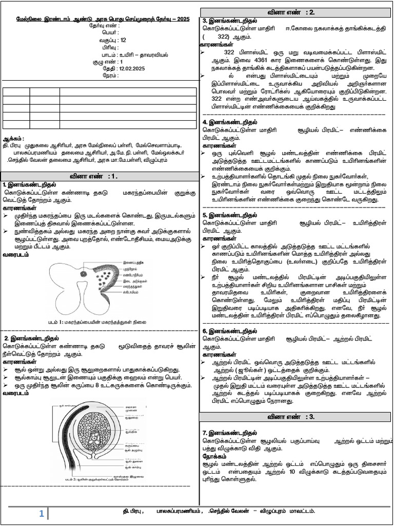 12 Bio Bot TM Pract | PDF