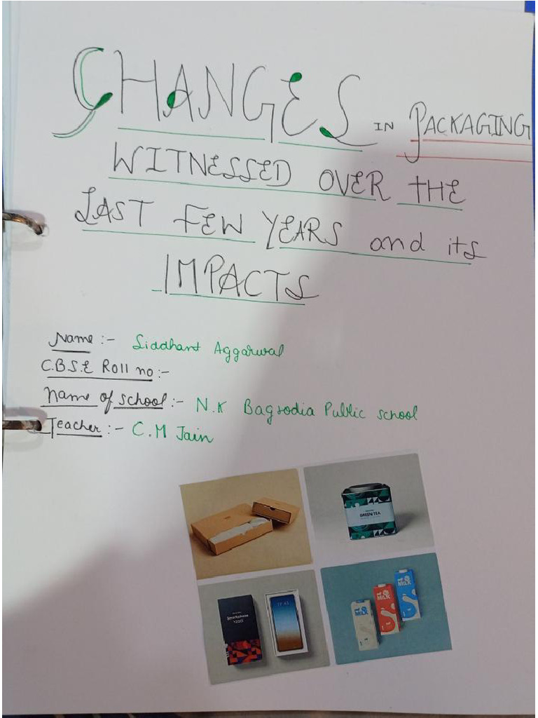 Bst project PACKAGING | PDF