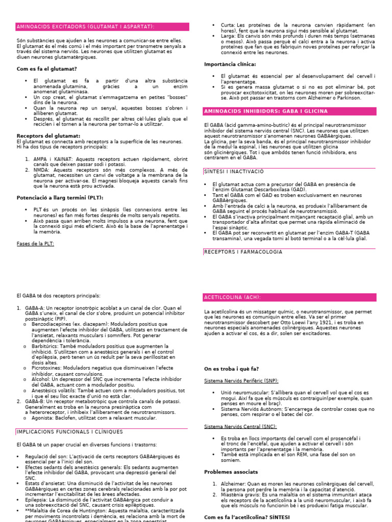 Resum Neurotrasmissors | PDF