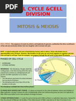 Meiosis Amoeba Sisters | PDF | Meiosis | Mitosis