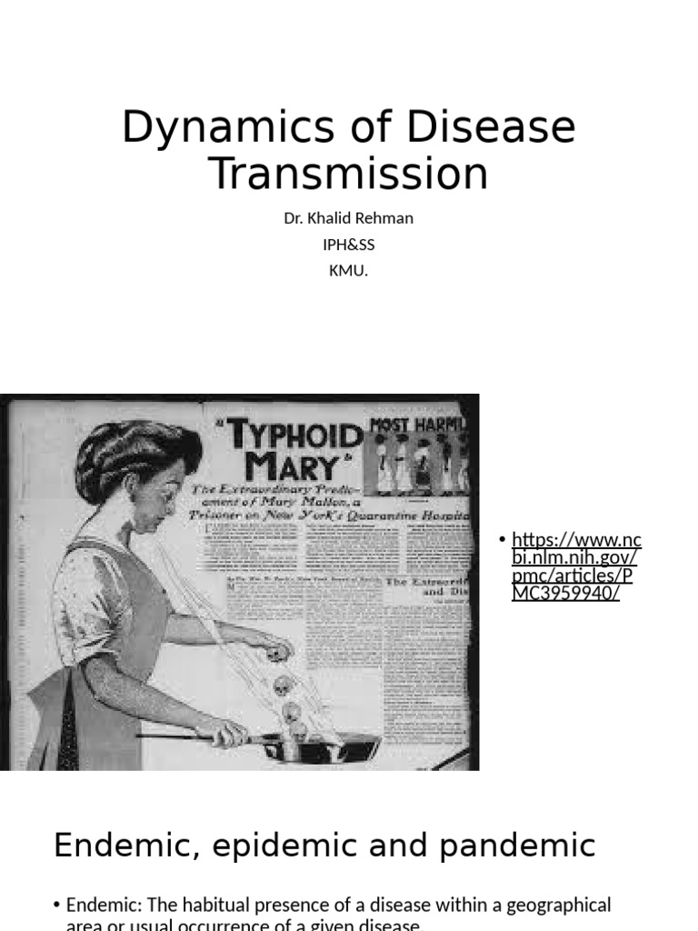 2b Dynamic of Dis Transmission | PDF