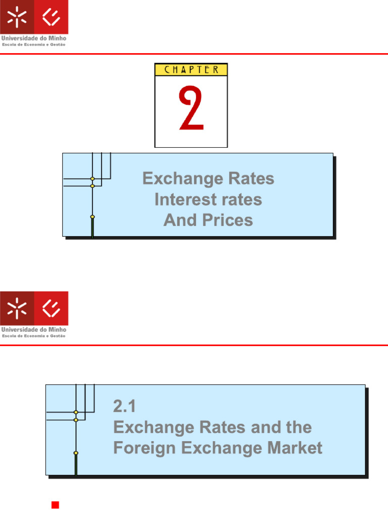IME - Chapter 2 | PDF | Purchasing Power Parity | Exchange Rate