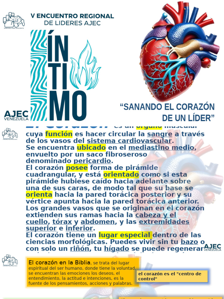 Sanando El Corazon de Un Lider | PDF | Corazón | Tórax