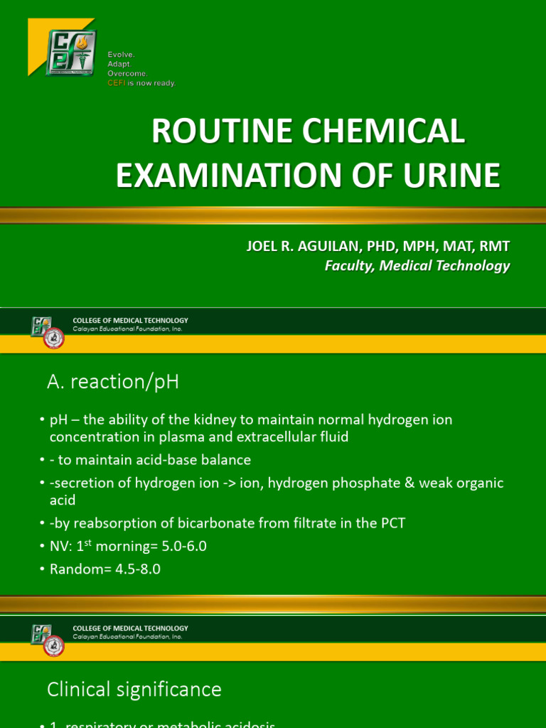 Routine Urine Chemistry | PDF | Kidney | Medical Specialties