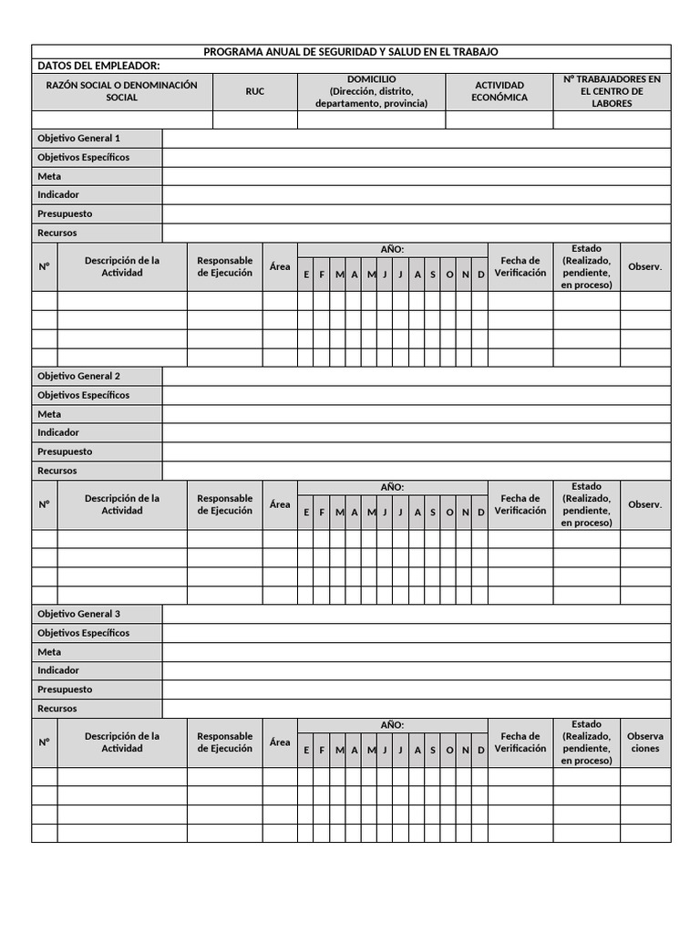 Programa Anual de SST | PDF