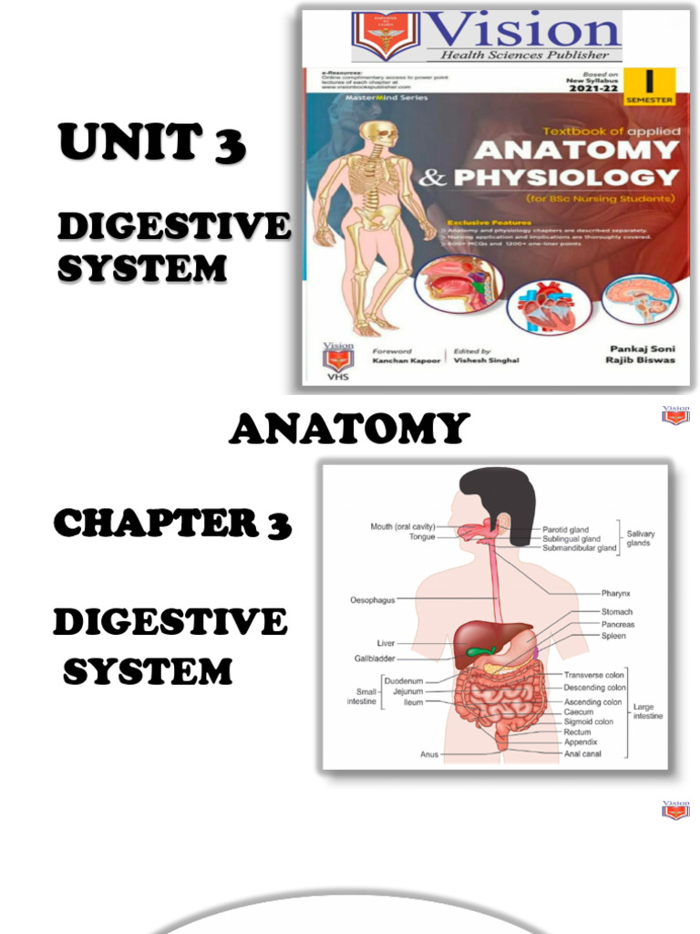 Anatomy and Physiology Unit 3 (1) | PDF | Bile | Stomach