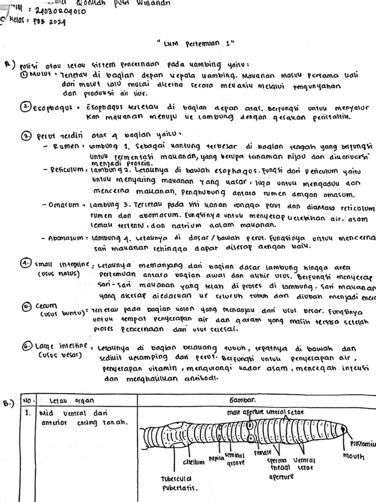 Maulidia Qonitah 010 PBB 24 LKM 1 | PDF