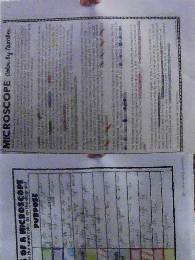 Parts of A Microscope Worksheet | PDF