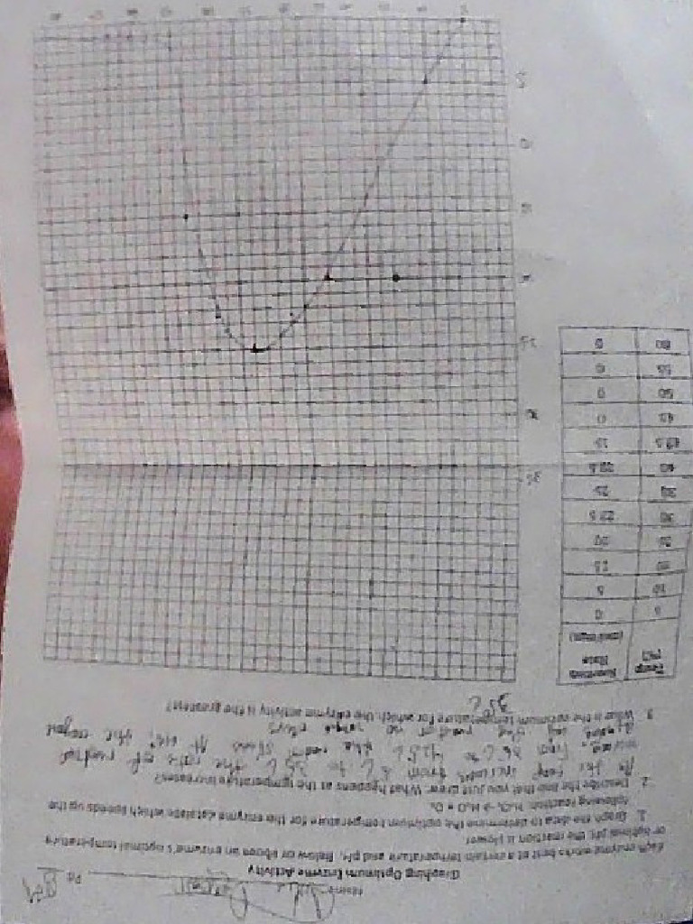 High School Biology Enzyme Packet | PDF