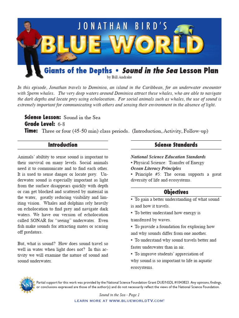 Lesson Plan Webisode03 Sound | PDF | Waves | Sonar