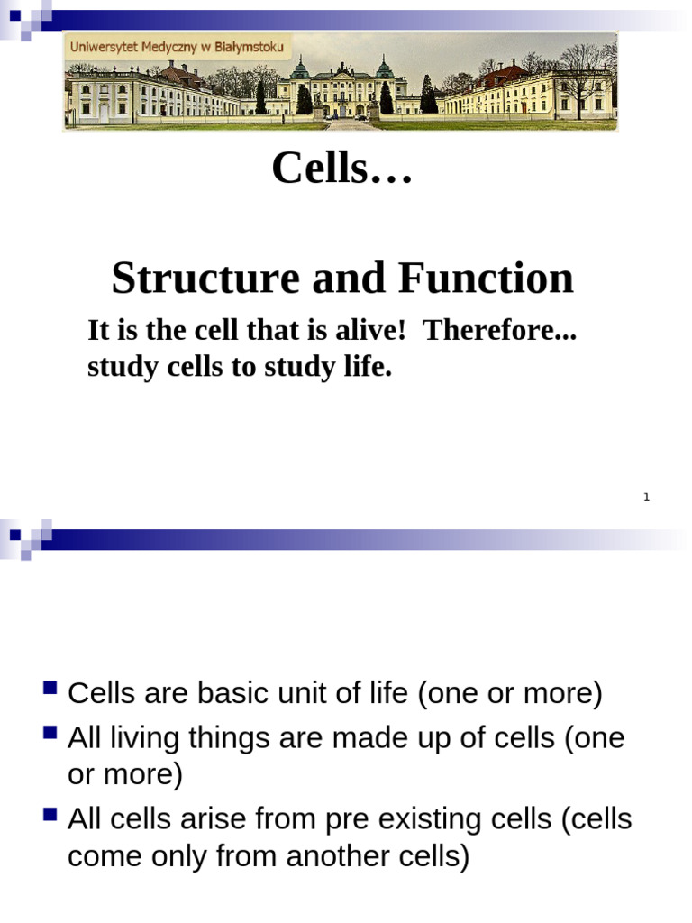 2 Cell Structure Functionpop | PDF | Endoplasmic Reticulum | Cell (Biology)