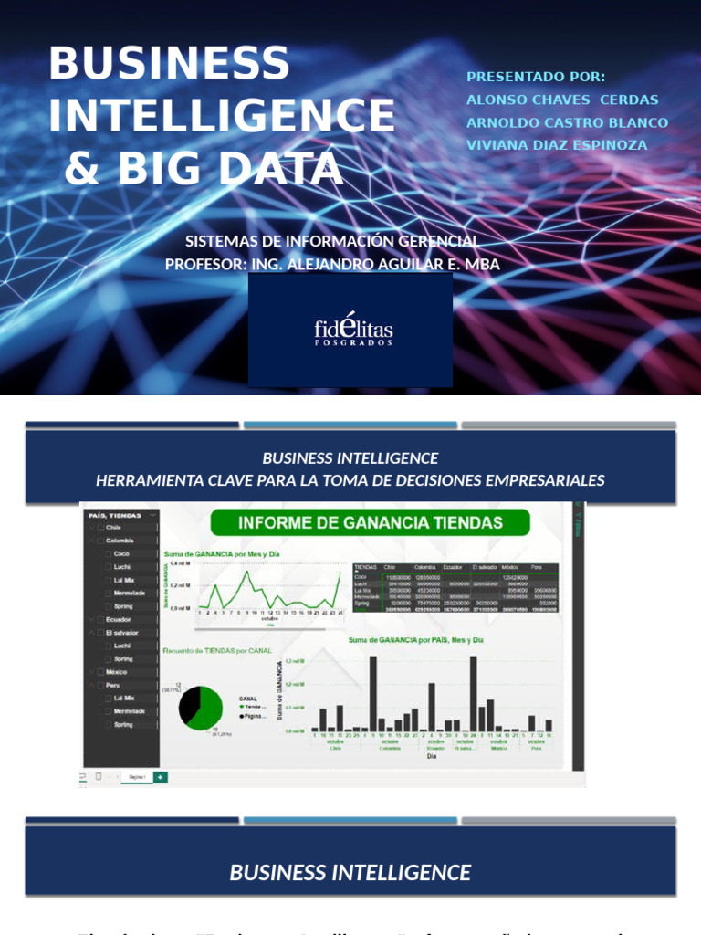 Bi & Big Data | PDF | Big Data | Inteligencia de negocios