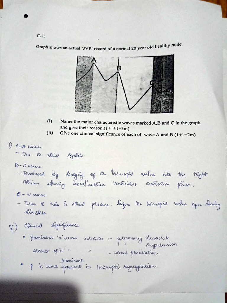 Emailing Physiology PBL | PDF