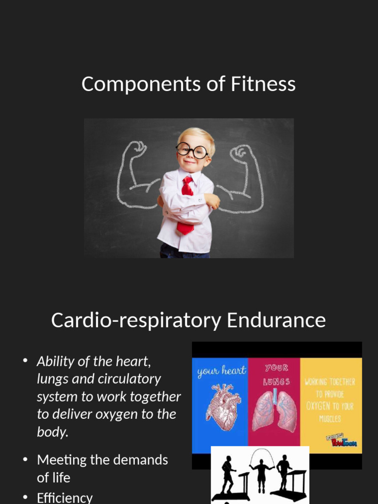 Overview of Fitness Components | PDF