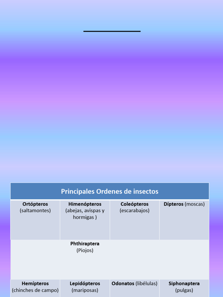 Orden Es | PDF | Mosca | Insectos