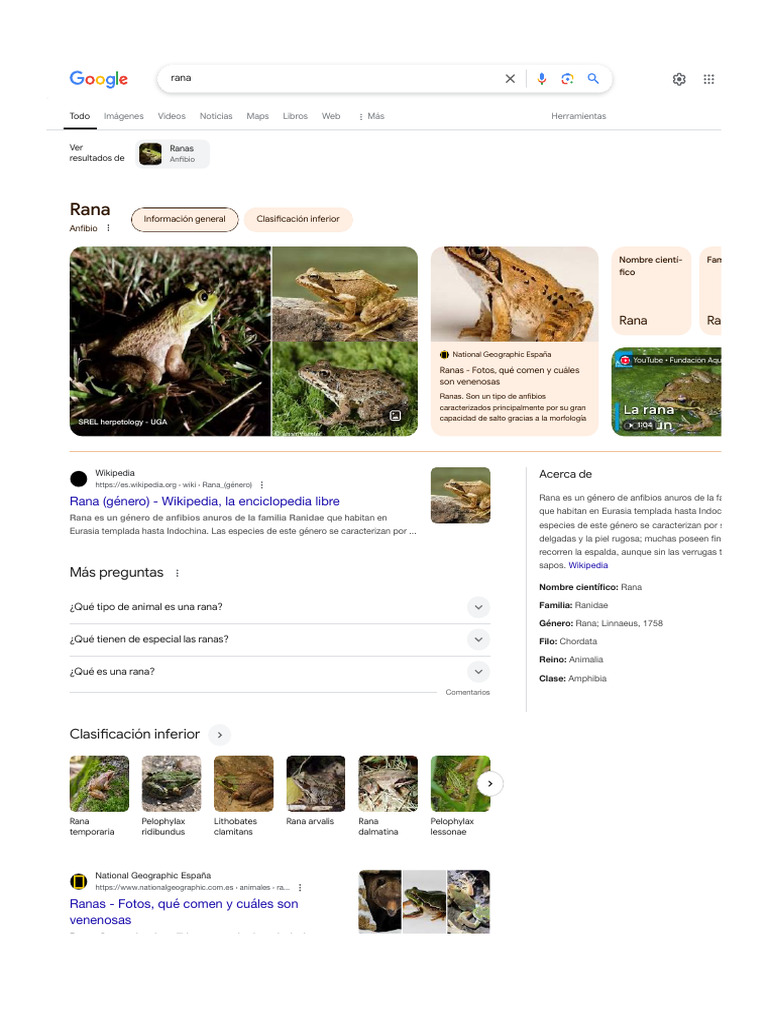 Curiosidades de las Ranas | PDF | Rana | Anfibio